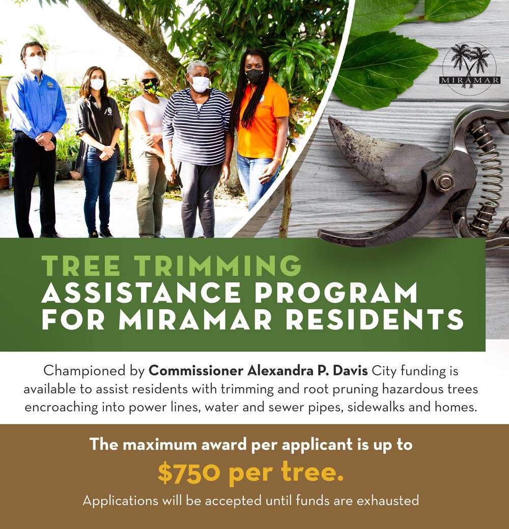 Tree Care - City of Miramar, FL