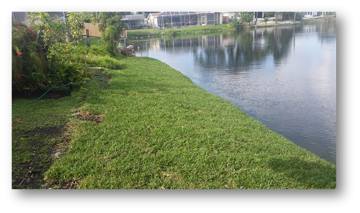 Stormwater Management